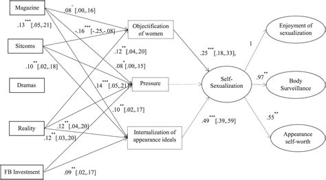 Expanding Models Testing Media Contributions To Self Sexualization Petal Grower L Monique