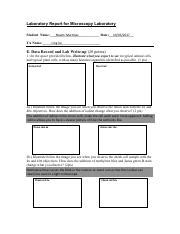 Microscopy Lab Copy Pdf Laboratory Report For Microscopy Laboratory 10 03 2017 Noemi Mar Nez