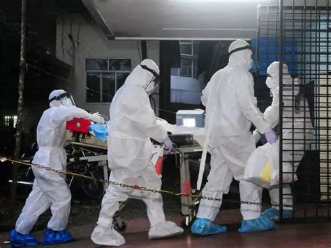 Kerala 14 Year Old Dies From Nipah Virus Causes Symptoms And Treatment Explained Kerala 14
