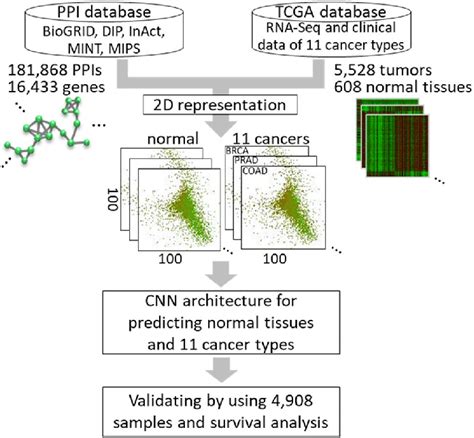 Schematic Of Integrating Protein Interaction Networks And Genomic Download Scientific Diagram