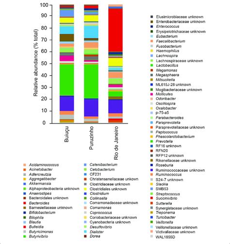 Relative Abundance Of Bacterial Genera In The Gut Microbiome Of