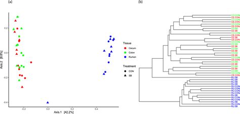 a principle coordinate analysis plot and b cluster dendrogram