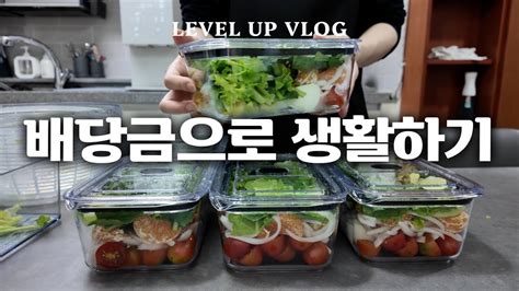 월배당 156만 개별주를 좀 샀습니다 Usdc가 미래다 근데 고점인 배당주 투자하는 직장인 브이로그 3일치 샐러드