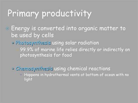 Ppt Primary Productivity In The Marine Environment Powerpoint Presentation Id 5755360