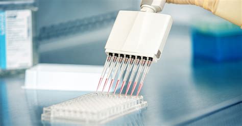 By Ipp Bureau June 07 2022