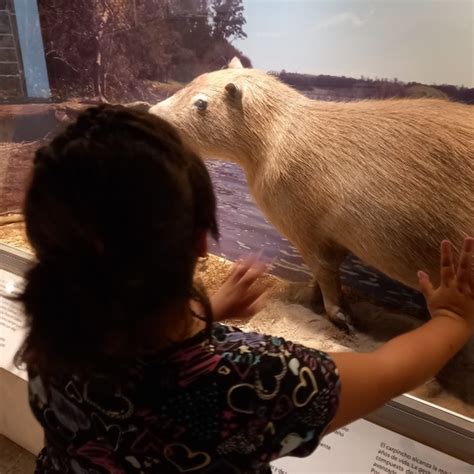 Francisca Luna Youtube