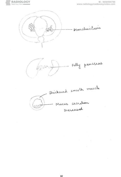 Radiology Made Easy Notes Comprehensive And Updated Study And Theory