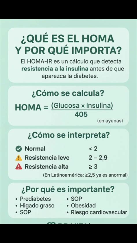 ¿cómo Se Si Soy Resistente A La Insulina Además De Algunas Señales Ya
