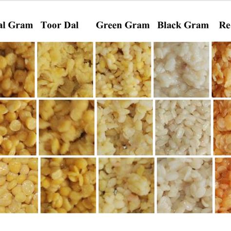 Knowledge Based Classification Of Boiled Grain Images Download Scientific Diagram