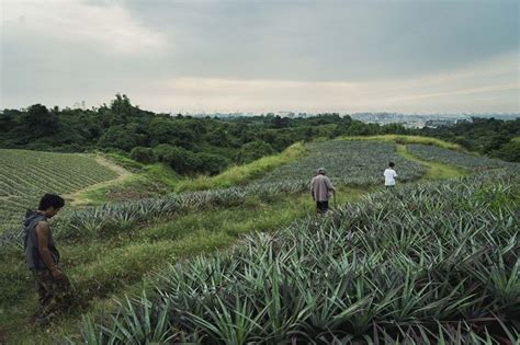 Yi Jia Zi Er Gu Gu Jiao Sfd Cz