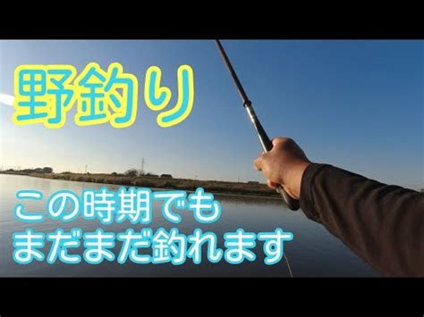 へら鮒 千葉県 印西市 手賀沼水系 野釣りでも釣れるんです YouTube