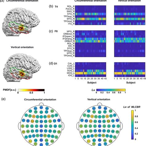 The Matrices Indicating The Scalp‐cortex Correlation Scc Obtained By