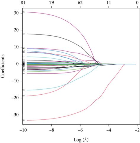 A Lasso Coefficient Profiles Of The 82 Features B Tuning Parameter Download Scientific