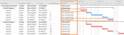 Management Yogi Using Custom Fields And Project Functions In Ms
