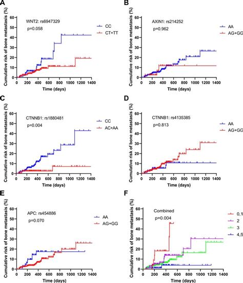 Estimation Of The Cumulative Risk Of Patients With Bone Metastasis From Download Scientific
