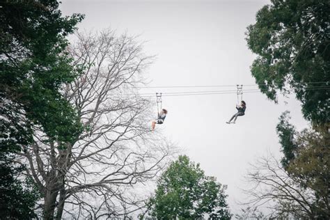 ზიპლაინი ბათუმში Georgian Travel Guide