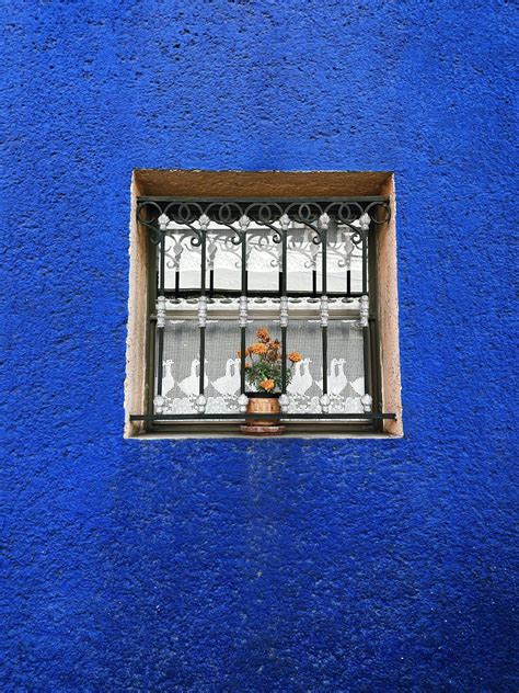 Vsco 필터 건축 격자 금속 그릴 깨끗한 꽃무늬 끈 다채로운 단순한 대조 도시 건축 도시 풍경 도시의 디자인 라틴 아메리카 멕시코 멕시코