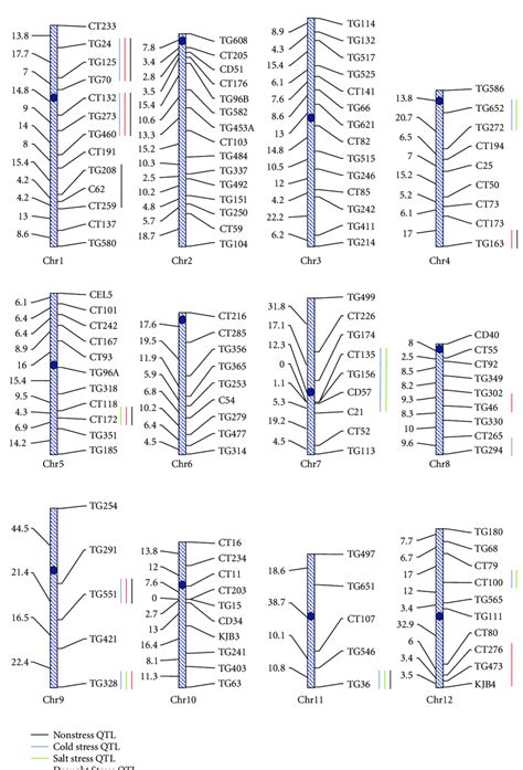An Rflp Linkage Map Of The 12 Tomato Chromosomes Constructed Based On A