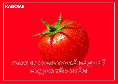 Kagome Mongolia 😱😱😱Яагаад хэрэглэх хэрэгтэй вэ🍅🍅🍅 🍅 1