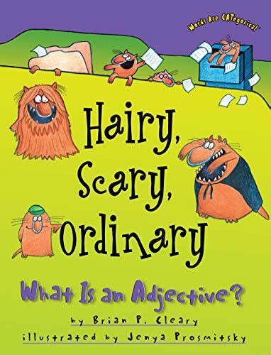 Hairy Scary Ordinary What Is An Adjective Words Are Categorical