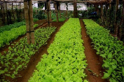 ປະຊາຊົນບ້ານເລົາ ເມືອງນາແລ ແຂວງຫຼວງນໍ້າທາ