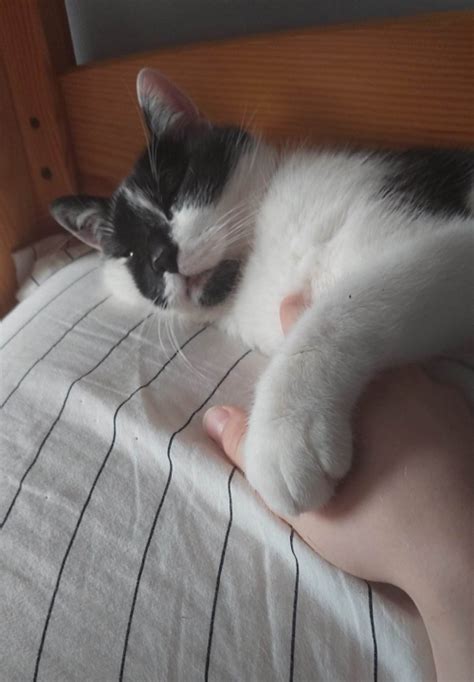 Design Ranking Tier List Community Rankings Tiermaker