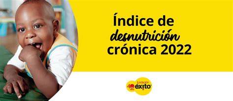 Índice De Desnutrición Crónica 2022