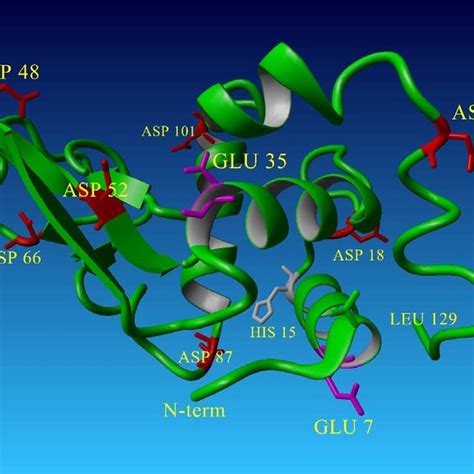 Figure S3 Schematic Drawing Of Ivf Experiments Sperm Were First