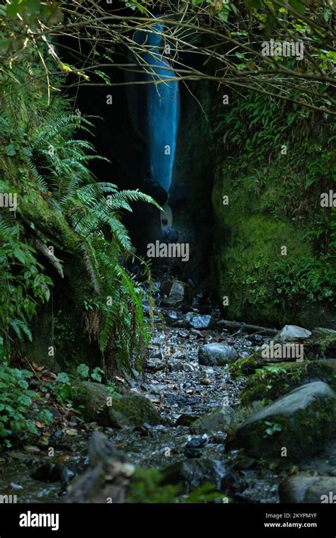 Up A Creek To The Hidden Waterfall At Sombrio Beach British Columbia