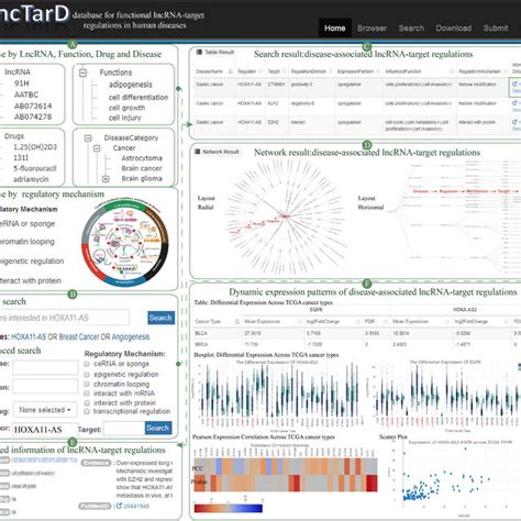 Commonly Used Sequence Databases And Their Descriptions Download