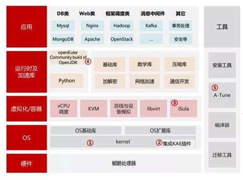 Linux 手把手带你玩转 Openeuler 初识 Openeuler 个人文章 Segmentfault 思否