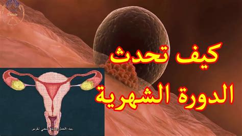 كيف تحدث الدورة الشهرية عند النساء؟ موضوع شامل و نصائح مهمة Youtube