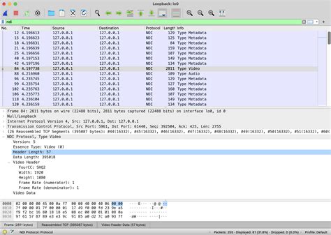 Wireshark Dissector