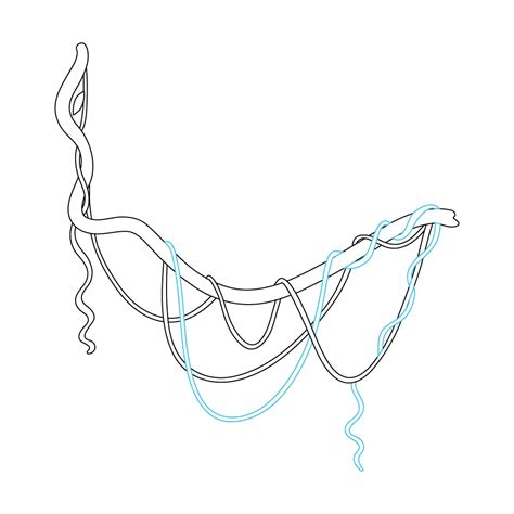 How To Draw Vines Step By Step