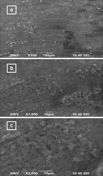 Scanning Electron Micrographs Of The Enamel Surface Treated With Apf Download Scientific