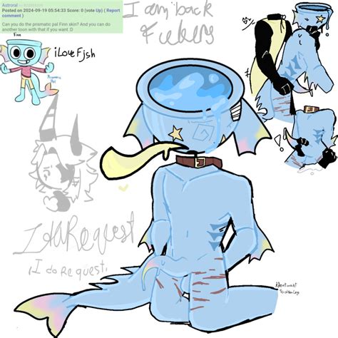 Rule 34 Belt Collar Dandys World Finn Dandys World Fins Fish