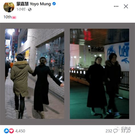 郑伊健日本庆结婚10周年与蒙嘉慧街头牵手秀恩爱无儿女仍幸福 房地产公司 照片 夫妻