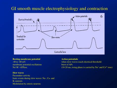 Ppt Gi Physiology Review Powerpoint Presentation Free Download Id 847154
