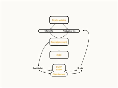 Iswc Et Isrc Quelle Est La Différence À Quoi Servent Ils