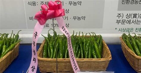 “영양 풋고추·성주 참외” 유기농 스타상 경진대회 국무총리상