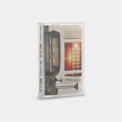 Wallows Model Cassette Tape
