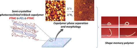具有可控结构的光交联聚（三亚甲基碳酸酯） 聚（ε 己内酯）三嵌段共聚物：从相分离结构到形状记忆材料 Acs Applied Polymer Materials X Mol