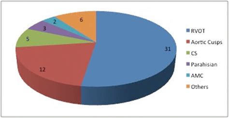 Pvc Origin Classified According To Successful Ablation Site Rvot Download Scientific Diagram
