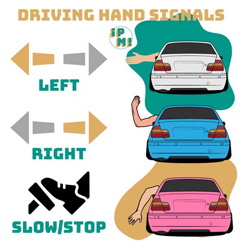 What Are All The Hand Signals For Driving At Charlotte Hudson Blog