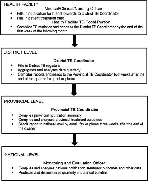 Flow Of Tb Case Notification Data In Zimbabwe Download Scientific