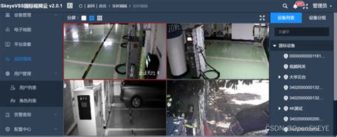 ai智能视频监控系统在新能源汽车充电桩的可视化应用 电动汽车充电站ai监管 csdn博客