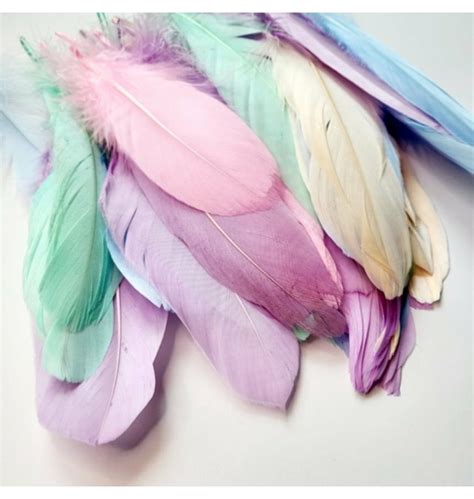 예쁜 파스텔 컬러 칼라 깃털 새털 새깃털 마크라메 드림캐처 공예 꾸미기 데코 재료 장식 사진 촬영 50p 티몬