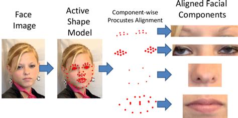 The Process For Extracting Facial Components After Detecting Facial