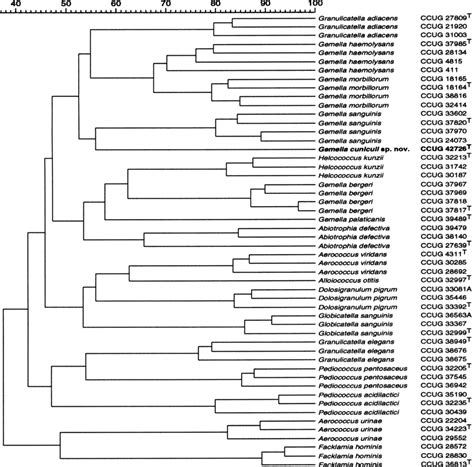 Dendrogram Derived From The Unweighted Pair Group Average Linkage Of