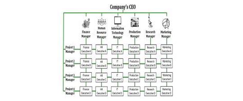 What Is Matrix Organizational Structure Definition Roles Features Example Diagram Types